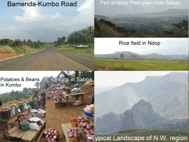 The Shisong Cardiac Center---A hidden Jewel